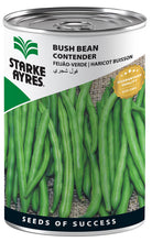 STARKE AYRES BEANS GREEN CONTENDER 500G – Hinterland