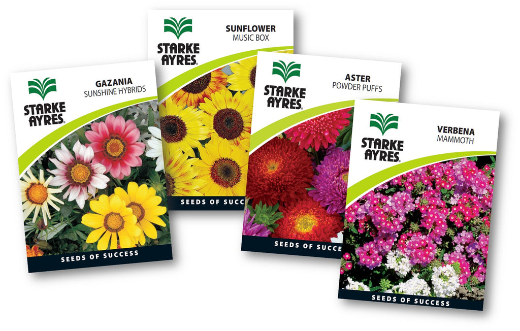 STARKE AYRES SEED FLOWER SUMMER POLYPACK – Hinterland