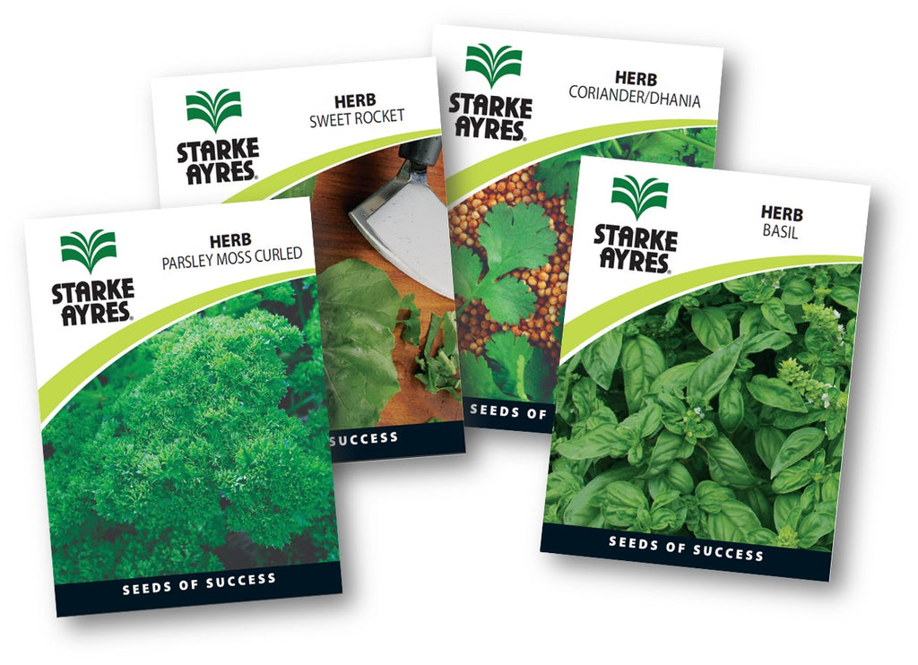 STARKE AYRES SEED HERB POLYPACK – Hinterland
