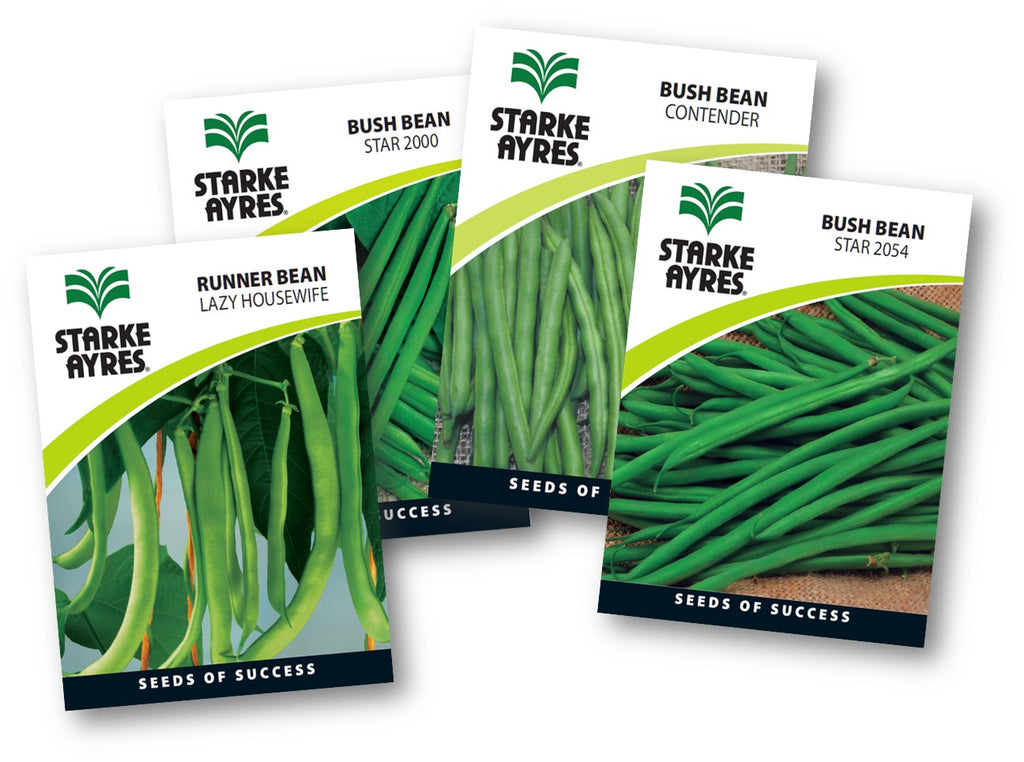 Starke Ayres Seed Veg Polypack Beans Hinterland