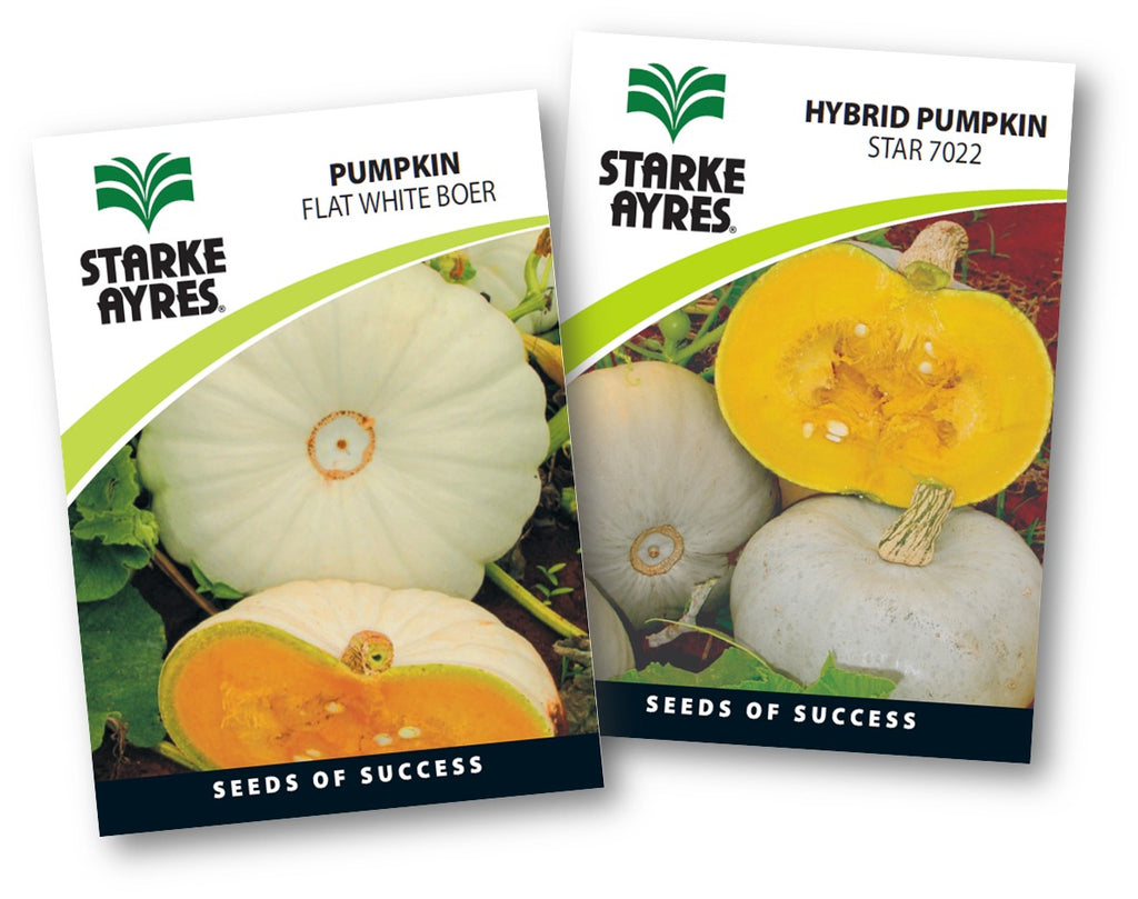 STARKE AYRES SEED VEG POLYPACK PUMPKIN – Hinterland