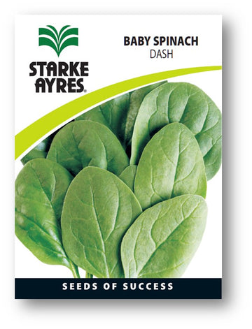 Starke Ayres Seed Veg Polypack Spinach Hinterland