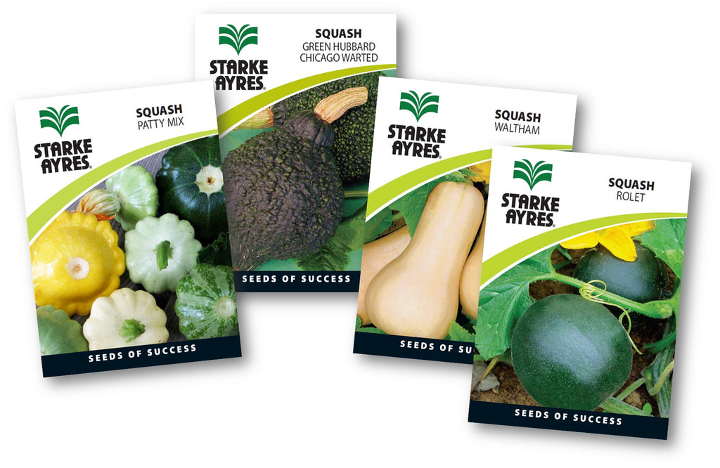 STARKE AYRES SEED VEG POLYPACK SQUASH – Hinterland
