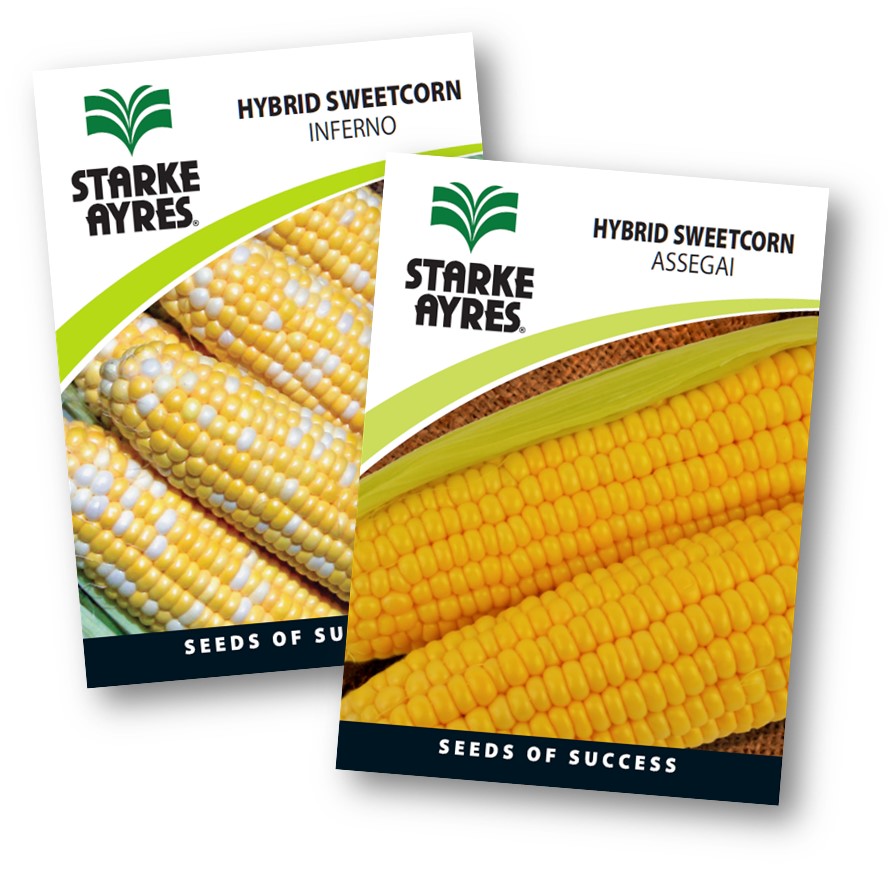 STARKE AYRES SEED VEG POLYPACK SWEETCORN – Hinterland