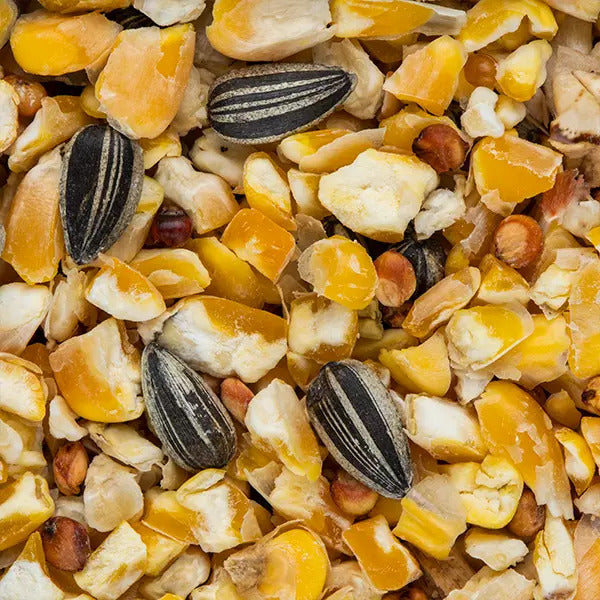 MIXED POULTRY GRAIN 5KG DRAKENSBERG – Hinterland