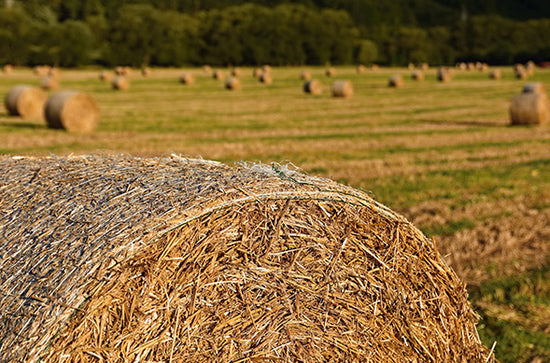 Yard & Store – Hinterland