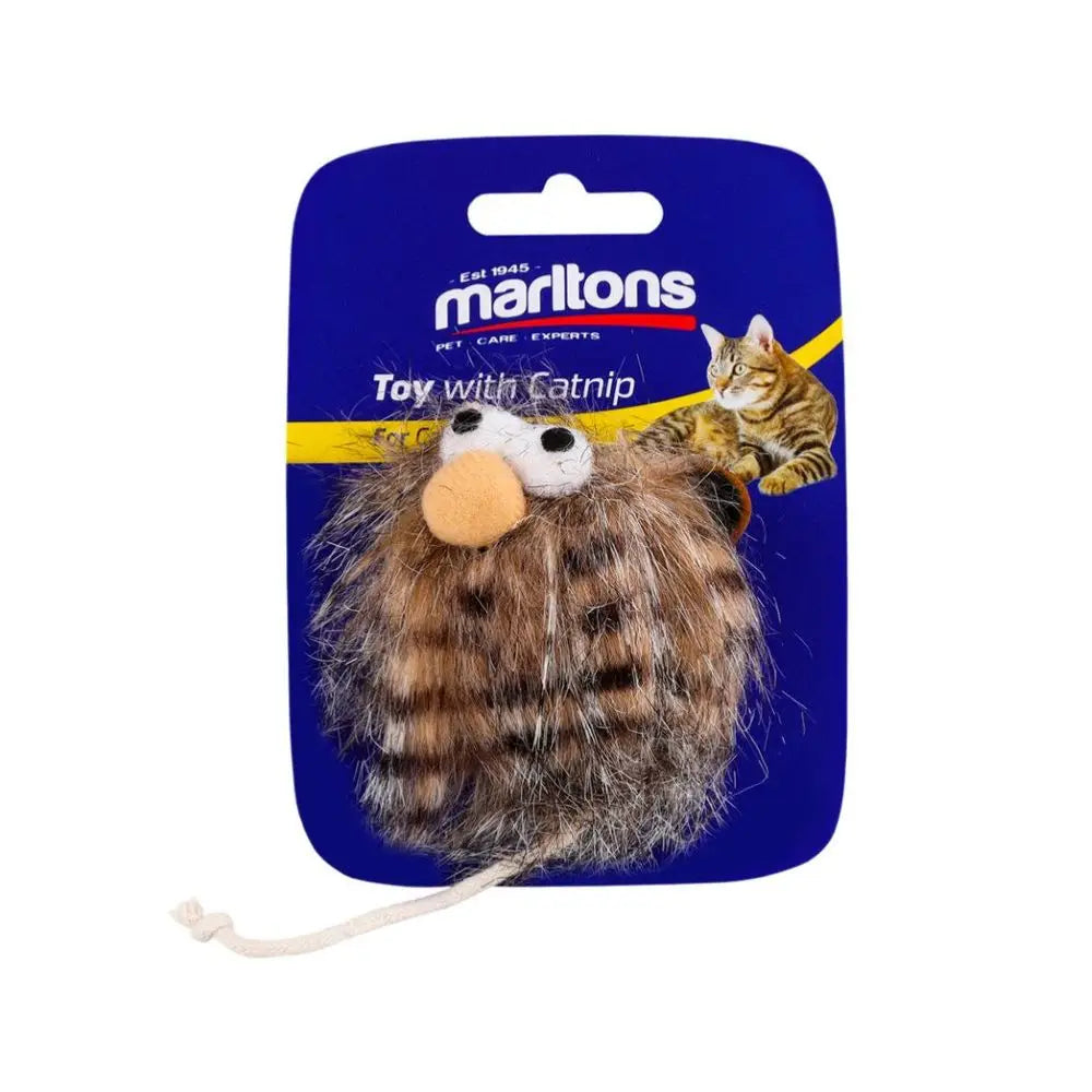 WOOLY MONSTER MARLTONS – Hinterland