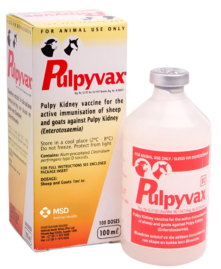 VACCINE PULPYVAX 100ML MSD – Hinterland