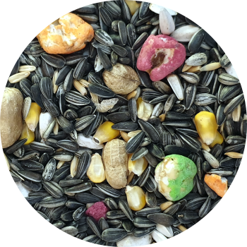 PARROT FEED MIX 5KG GOLDWING – Hinterland