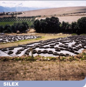 SILAGE STD 150UM X 8M P/M GUNDLE – Hinterland