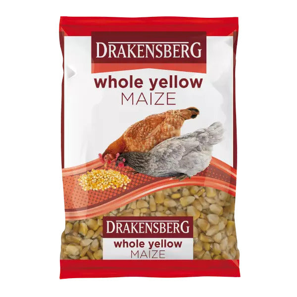 WHOLE YELLOW MAIZE 1KG DRAKENSBERG – Hinterland