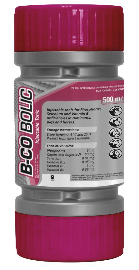 VIT B-CO BOLIC 500ML KYRON – Hinterland