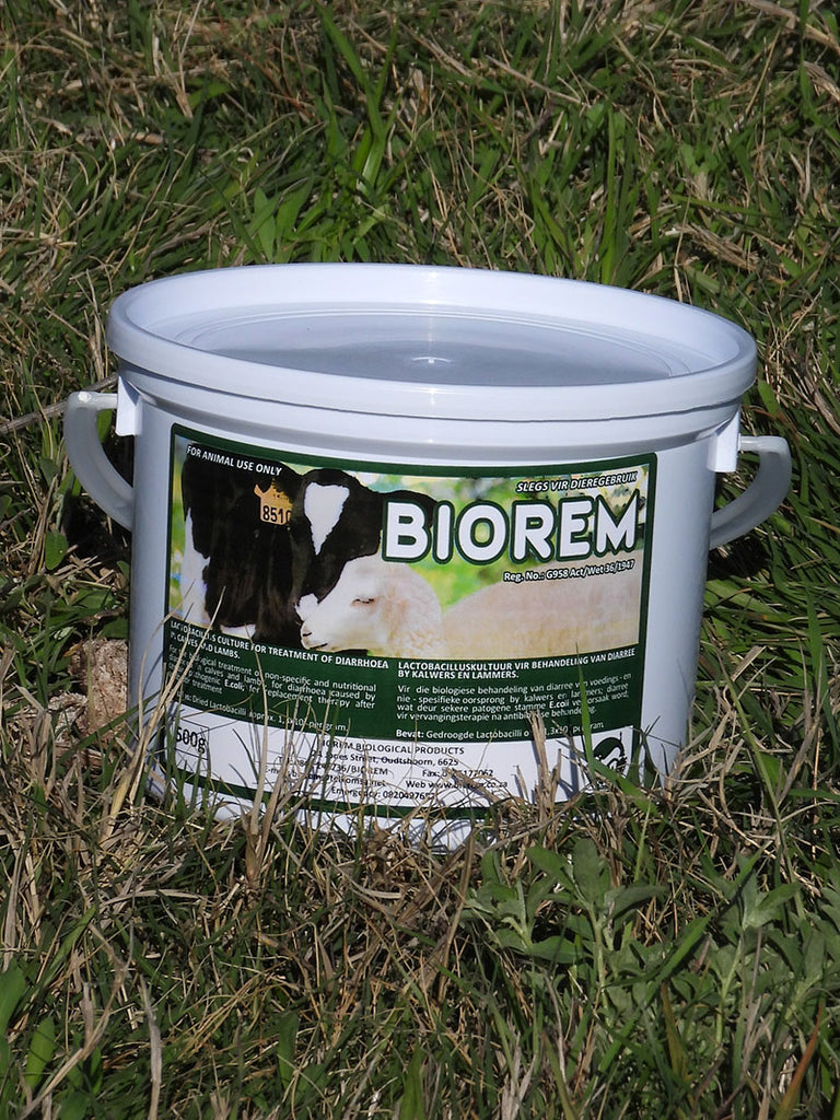 PROBIOTIC 500G BIOREM – Hinterland