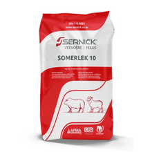 SUMMER LICK 10% 50KG SERNICK – Hinterland