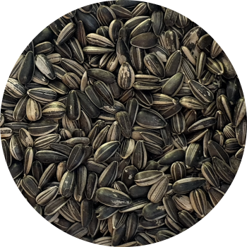 SUNFLOWER STRIPED SEED 5KG GOLDWING – Hinterland