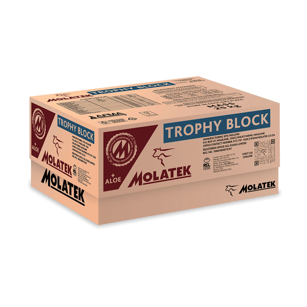 TROPHY BLOCK 25KG MOLATEK – Hinterland