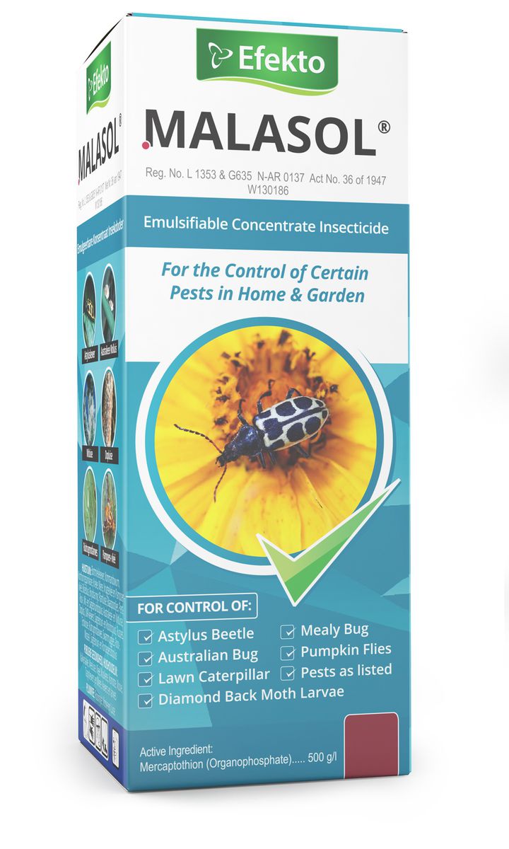 EFEKTO MALASOL – Hinterland